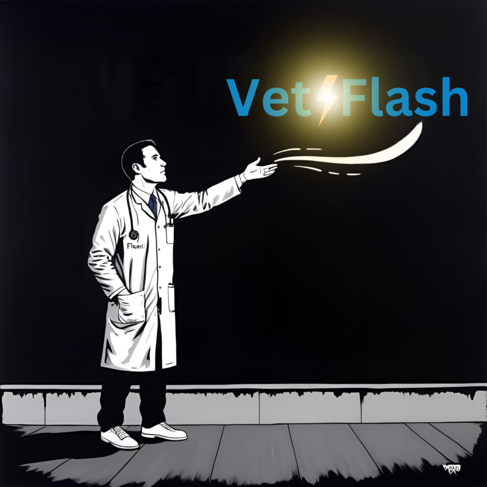 From Burnout to Balance: How Vets Can Reclaim Their Time